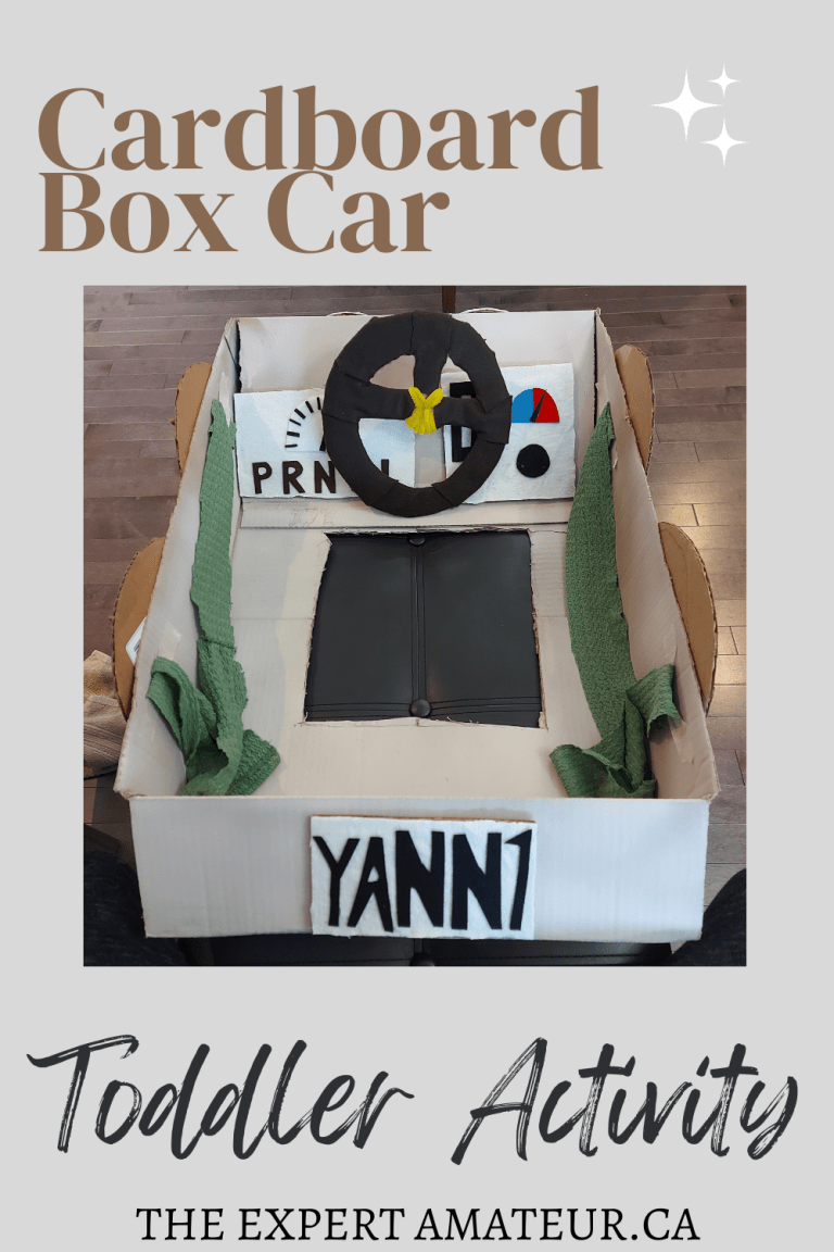Cardboard Box Car – The Expert Amateur
