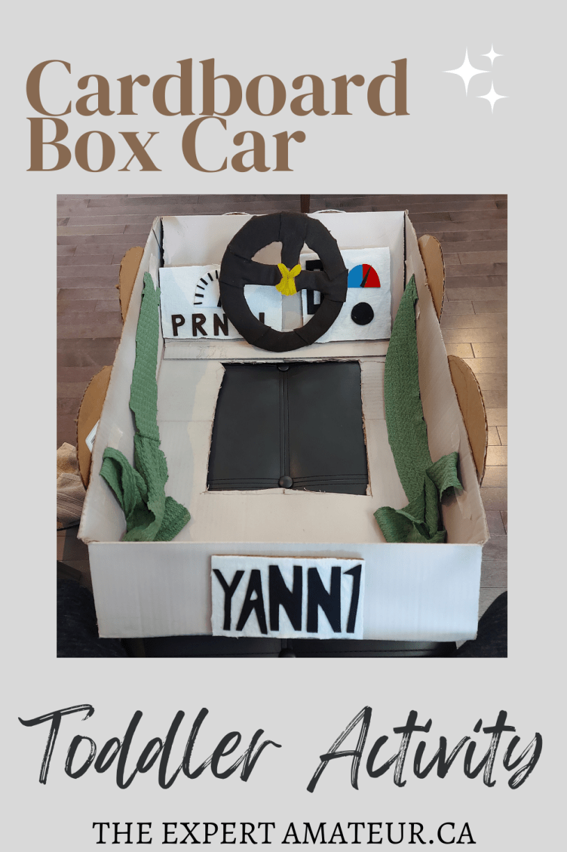 Cardboard Box Car – The Expert Amateur